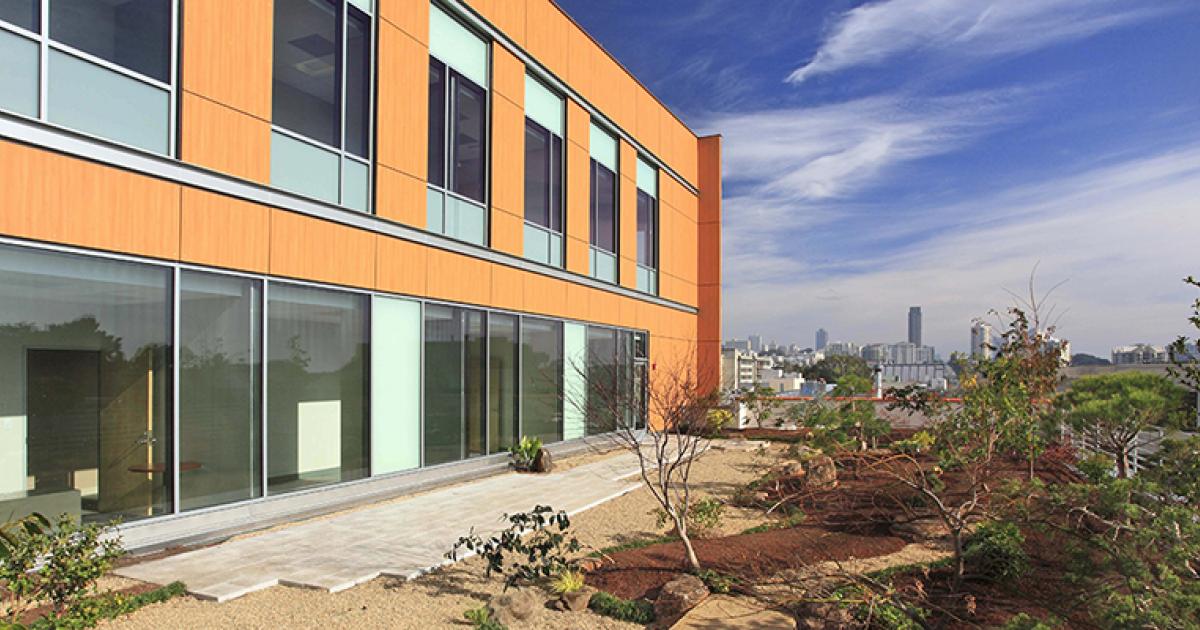Dr. Jennifer Felder Joins Osher Center Research Faculty | UCSF Osher ...